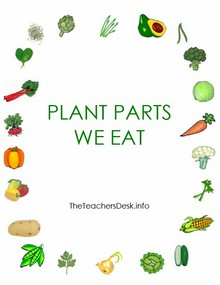 Plant Parts We Eat | eBooks | Education